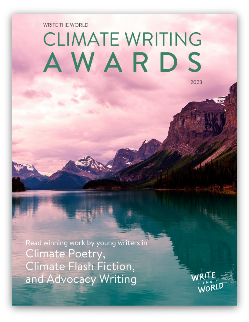 Write the World Review, Journals, Books, and Other Publications