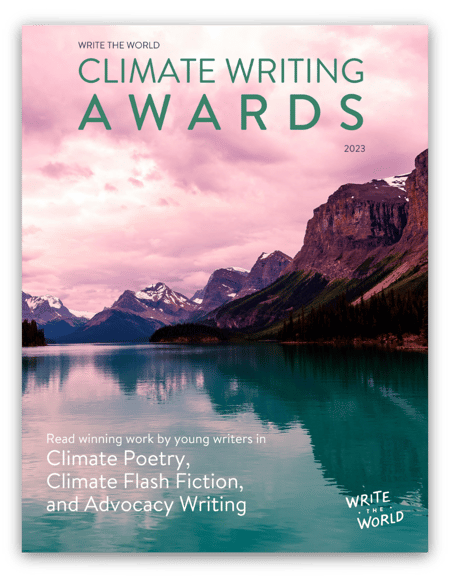 Write the World Review, Journals, Books, and Other Publications